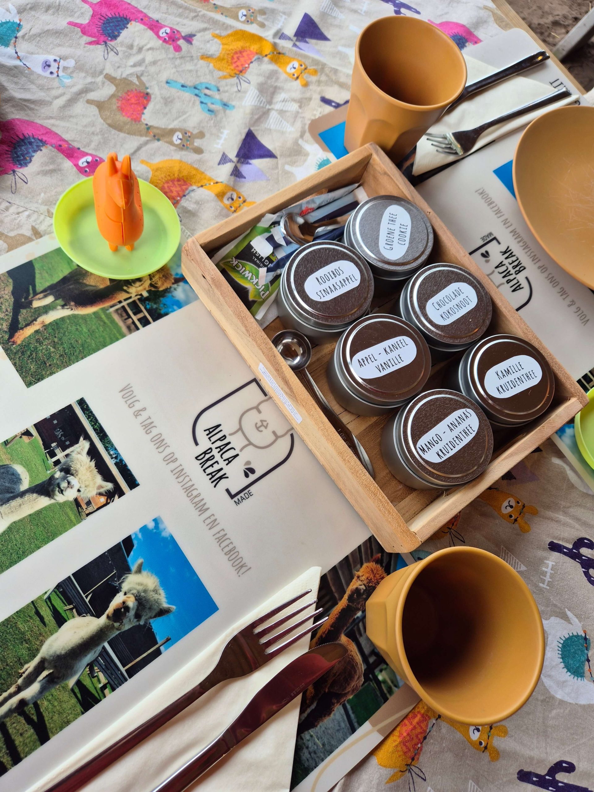 Activiteiten | Alpaca high tea | Alpaca dagbesteding