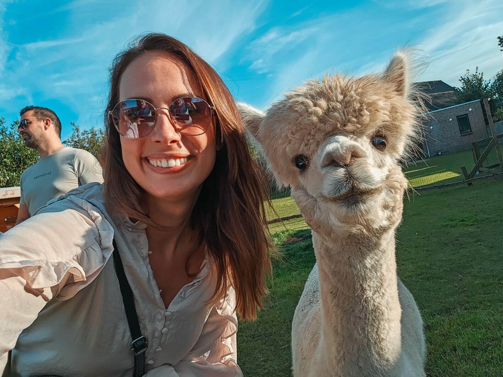 De alpaca boerderij voor een heerlijke high tea tussen de alpaca's!